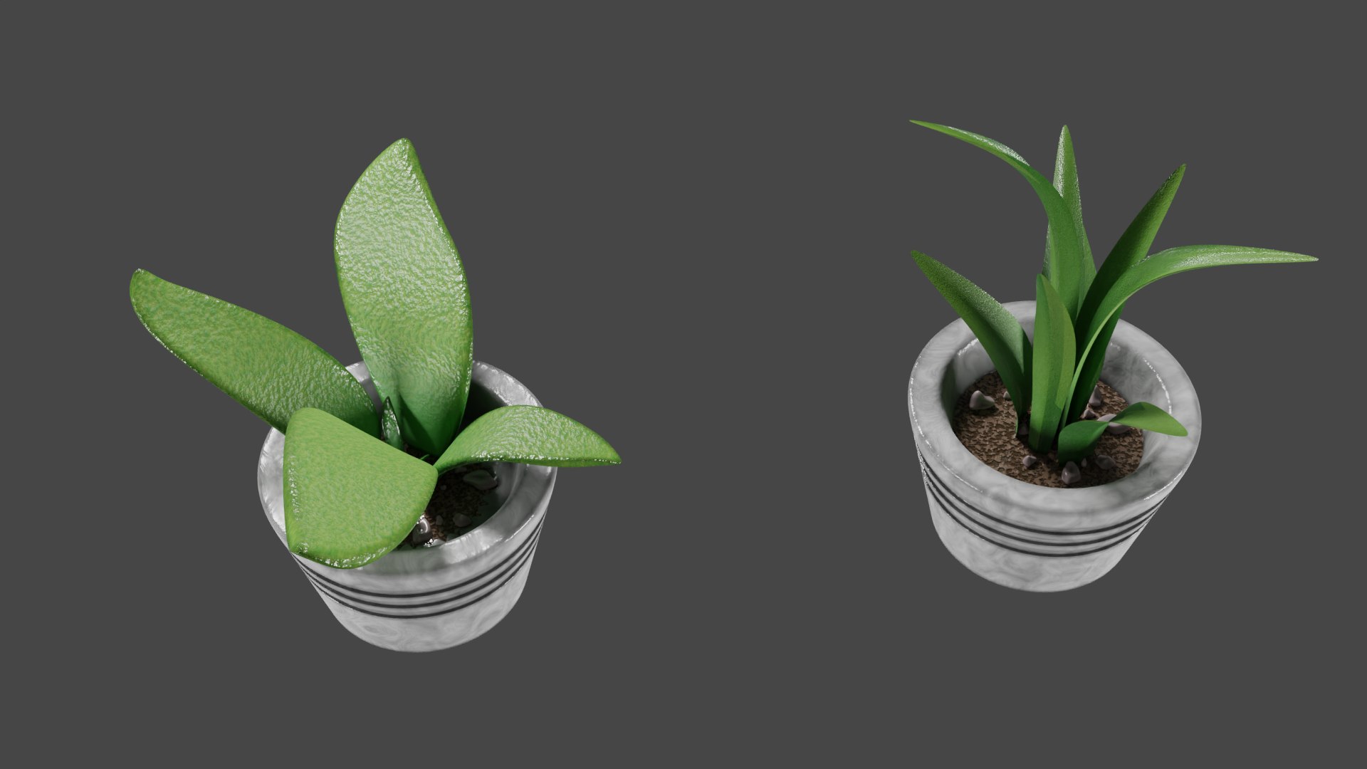 Indoor Plants 3D Model - TurboSquid 2009616
