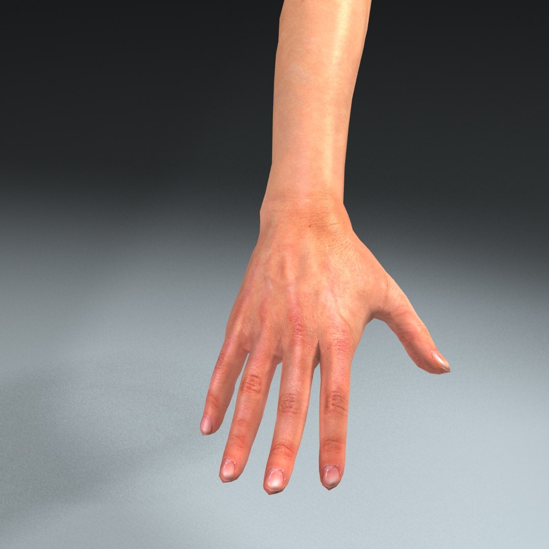 Rigged Person Arms Games 3d Model