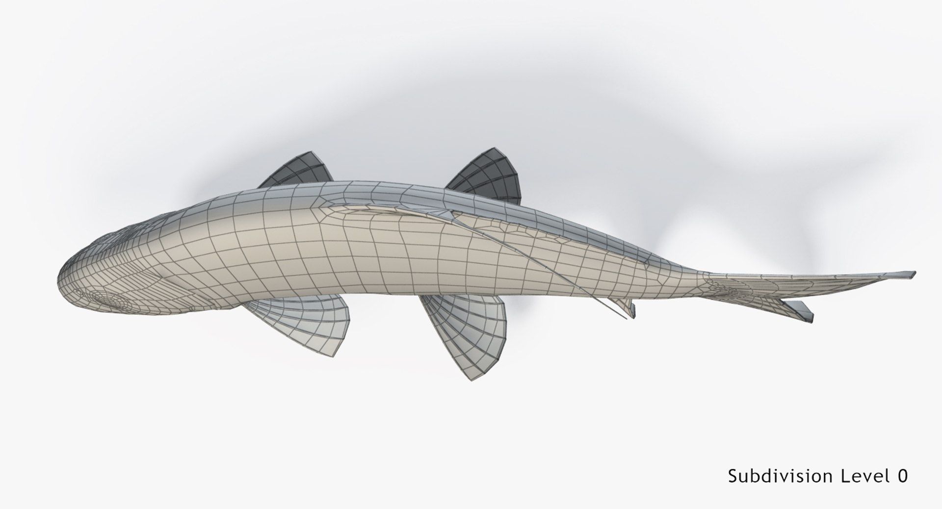 Quillback Fish Animation 3d Max