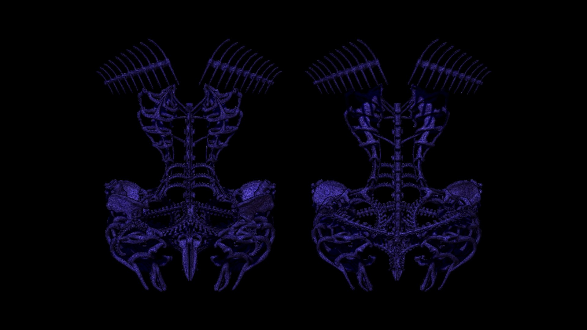 Bone Armour 3D Model - TurboSquid 1998978