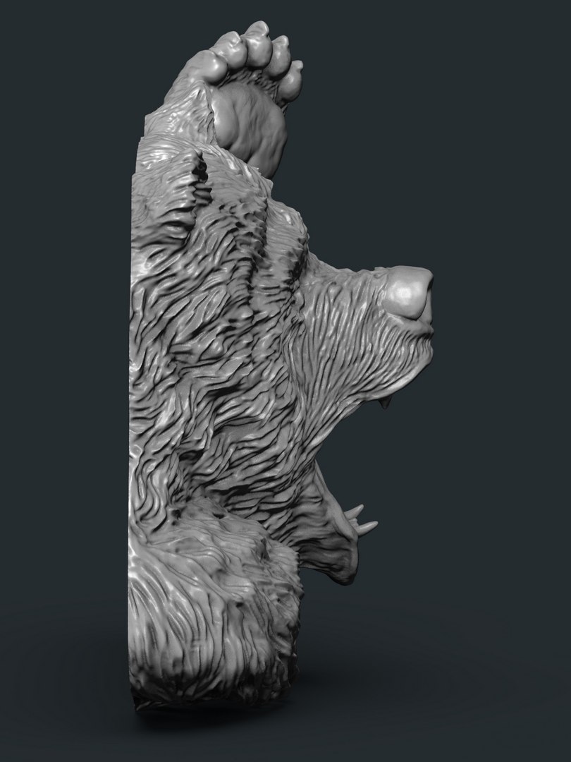 3D Bear Bas-relief Model - TurboSquid 1862646
