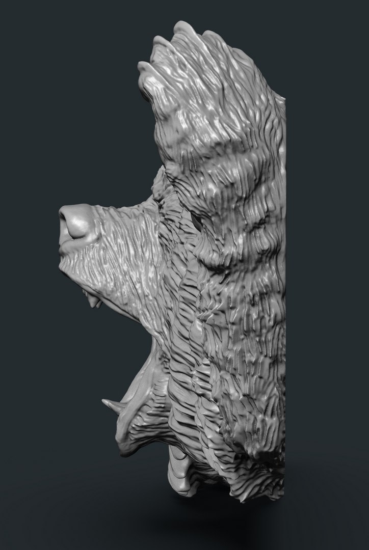 3D Bear Bas-relief Model - TurboSquid 1862646
