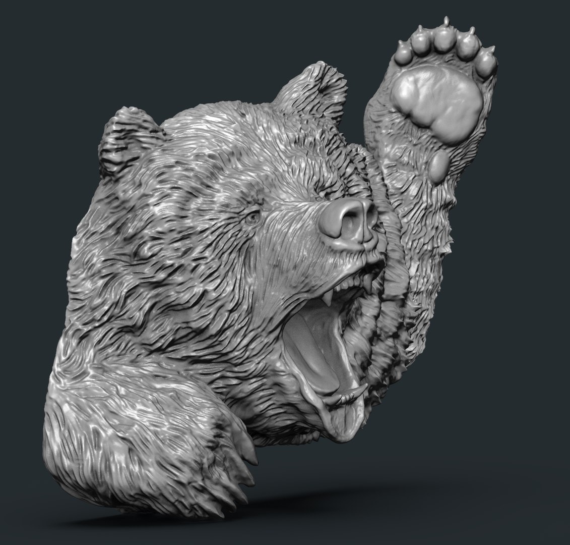 3D Bear Bas-relief Model - TurboSquid 1862646