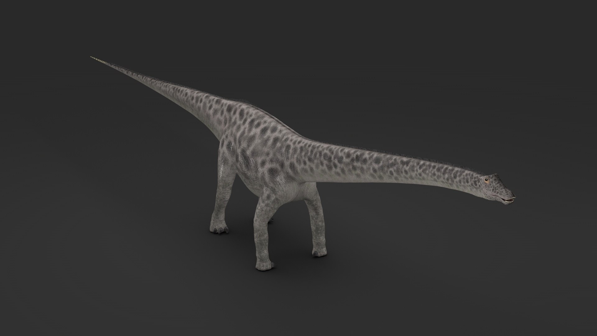 3D Diplodocus - TurboSquid 1844293