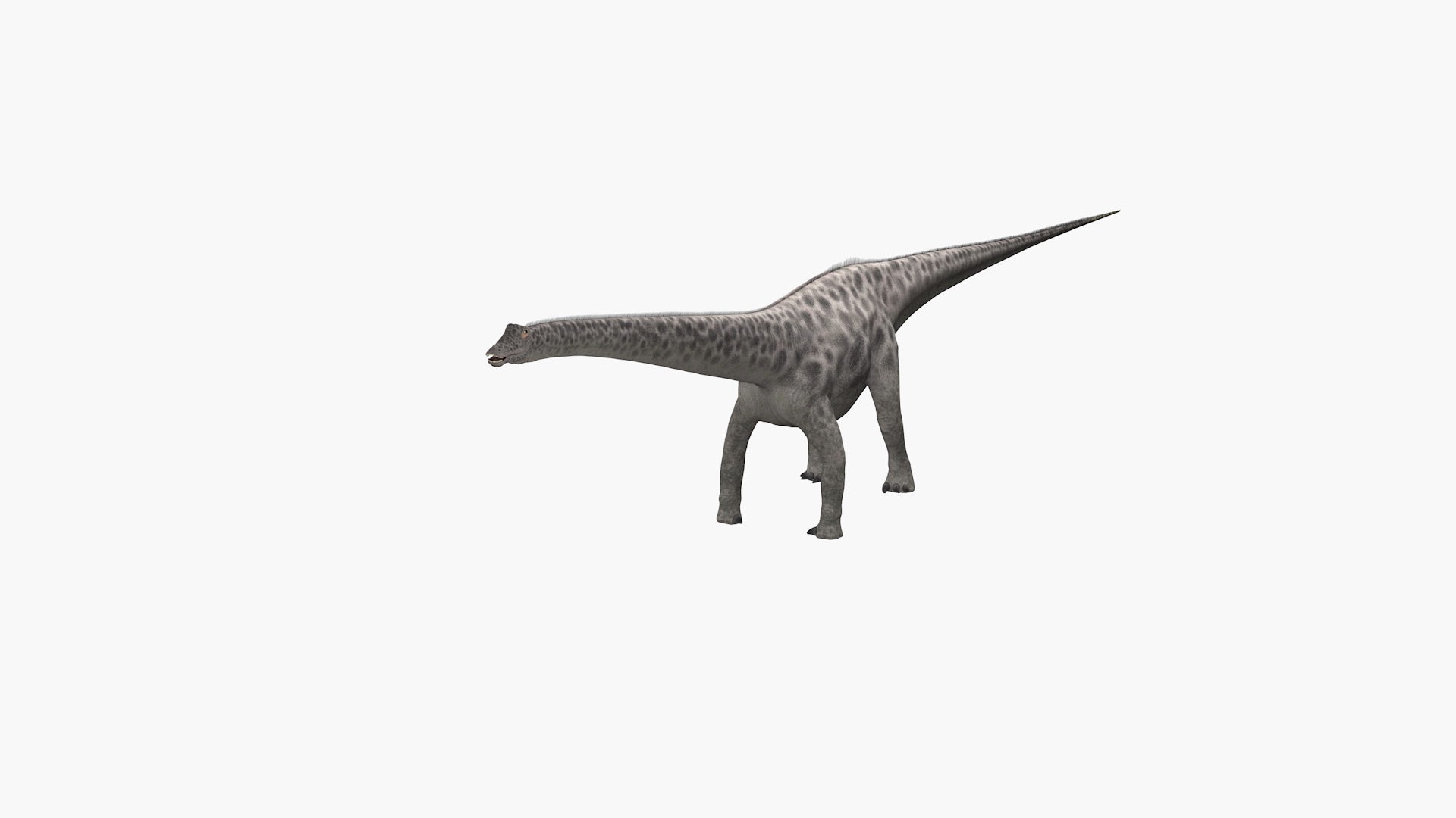 3D Diplodocus - TurboSquid 1844293