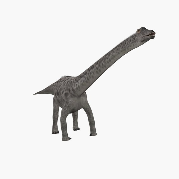 Diplodocus 3D Models for Download | TurboSquid