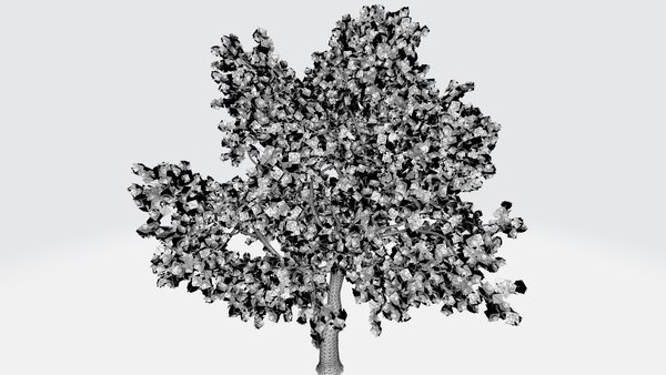 3D model Large-flowered plant - TurboSquid 1955961