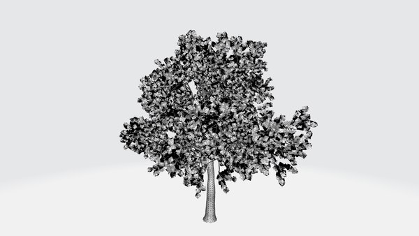 3D model Large-flowered plant - TurboSquid 1955961