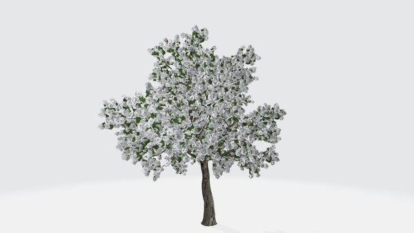 3D model Large-flowered plant - TurboSquid 1955961