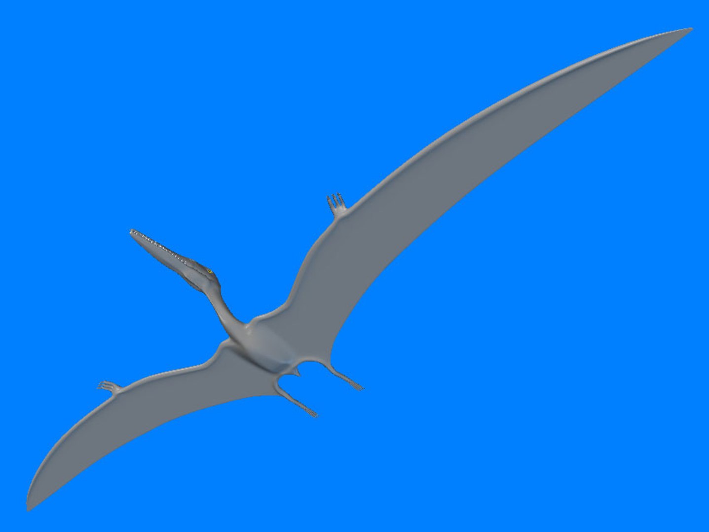 Germanodactylus Dinosaur 3d Model