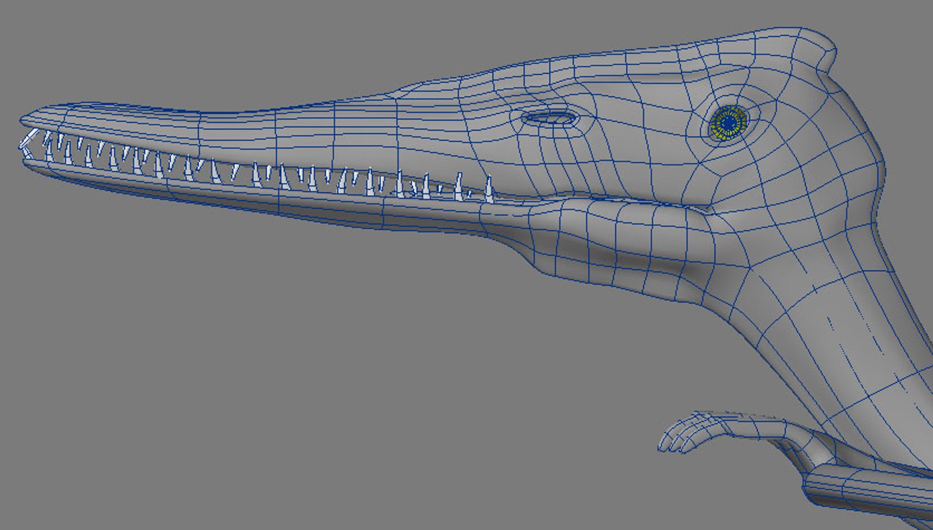 Germanodactylus Dinosaur 3d Model