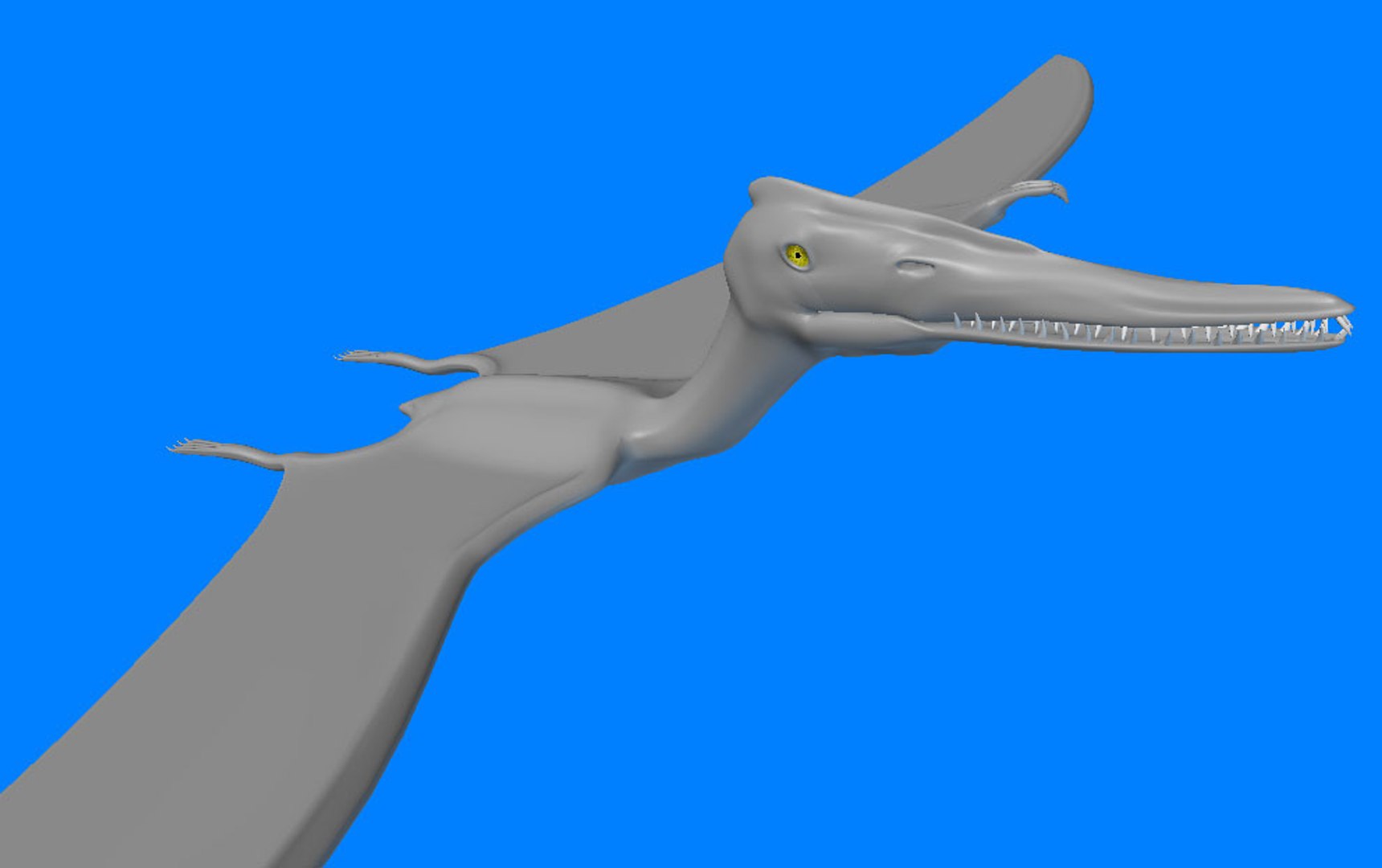 Germanodactylus Dinosaur 3d Model