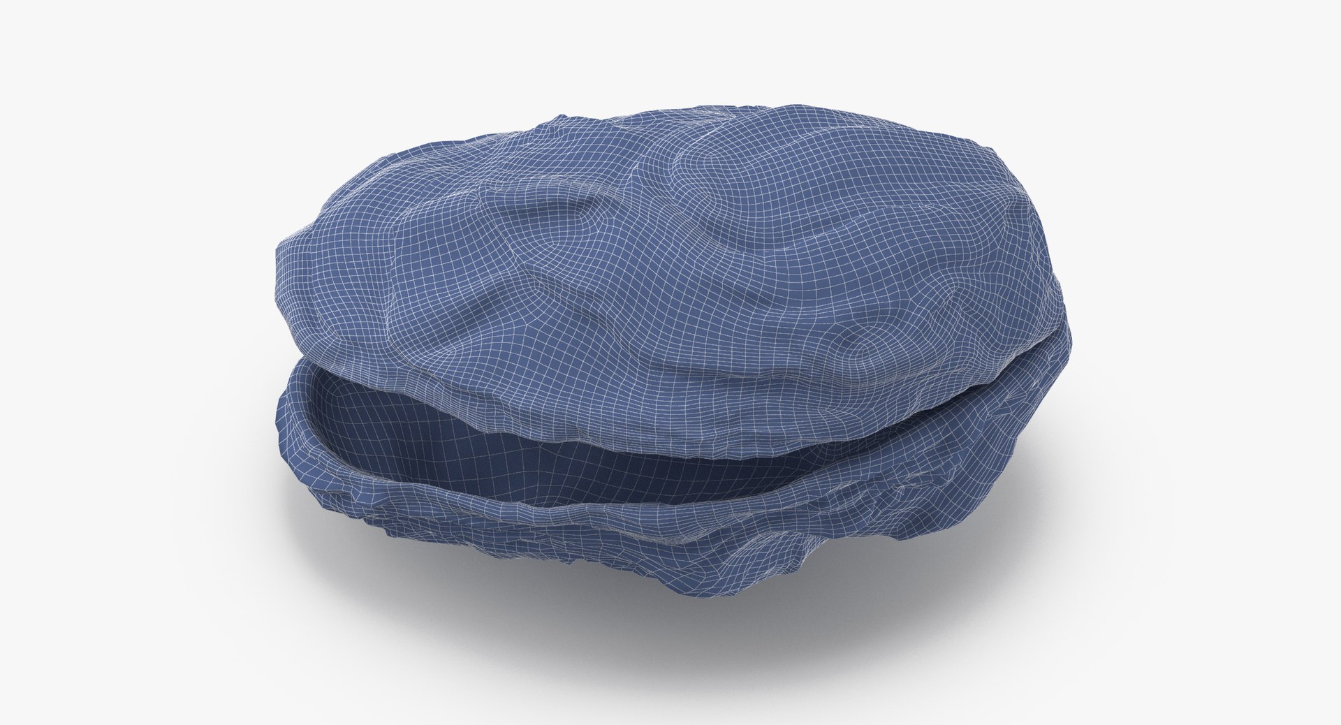 Oyster Shell 03 3d Model