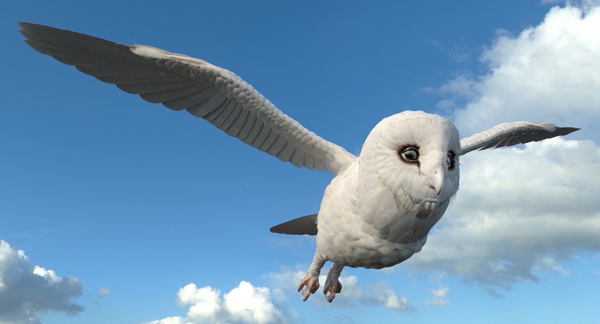 White barn owl flying bird model - TurboSquid 1434859