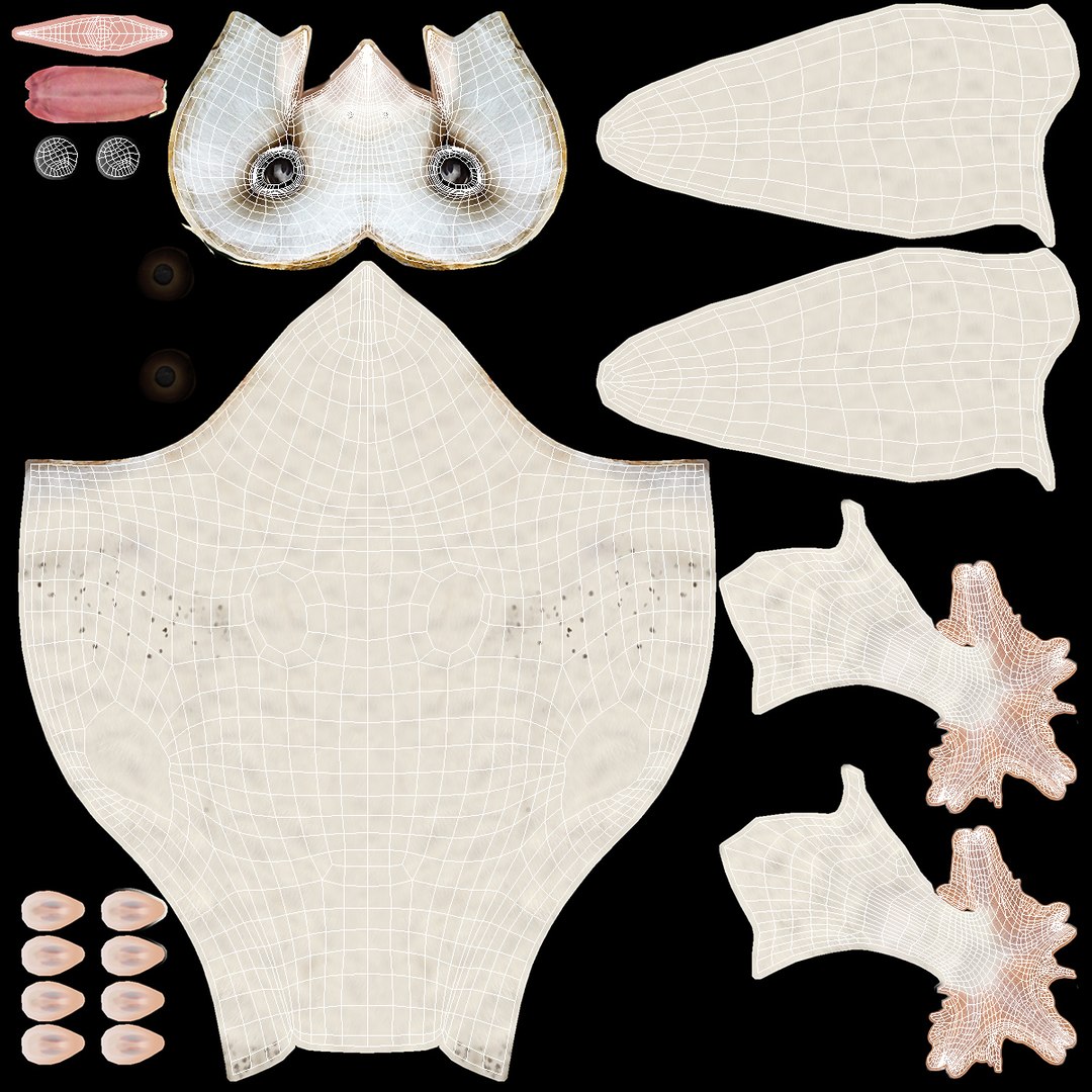 White barn owl flying bird model - TurboSquid 1434859