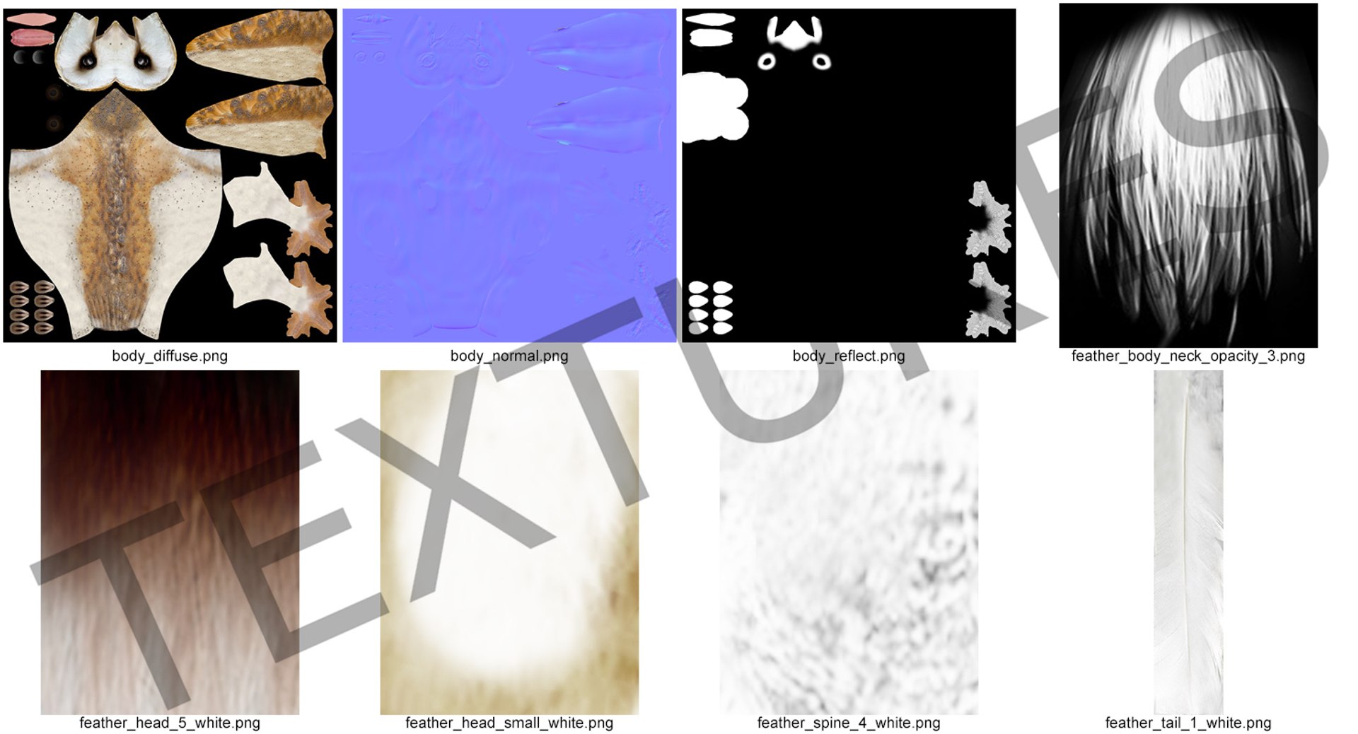 White barn owl flying bird model - TurboSquid 1434859