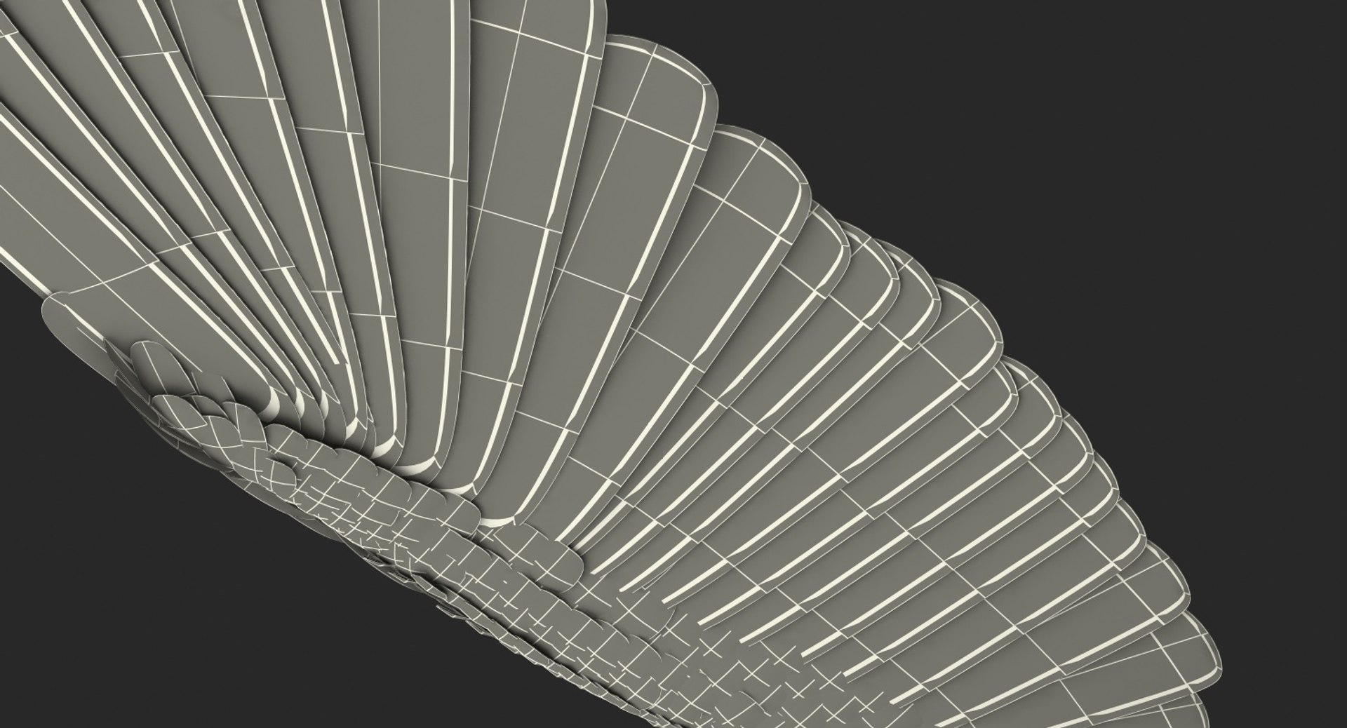 White barn owl flying bird model - TurboSquid 1434859