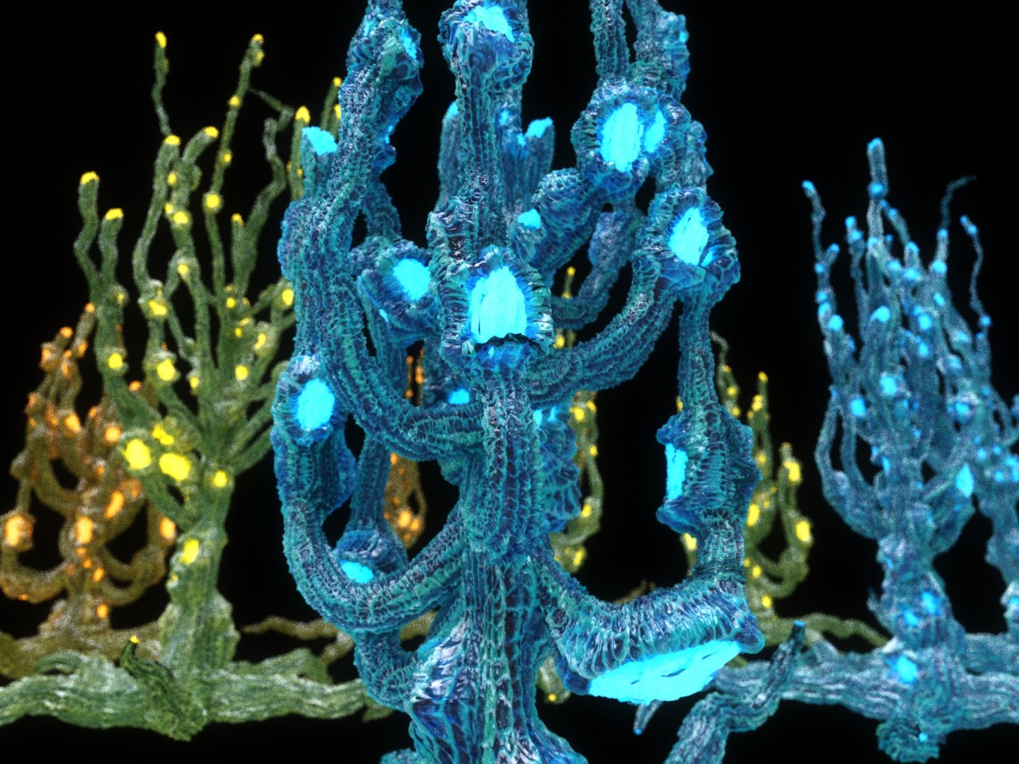 Alien Plants 3D Model - TurboSquid 1308051