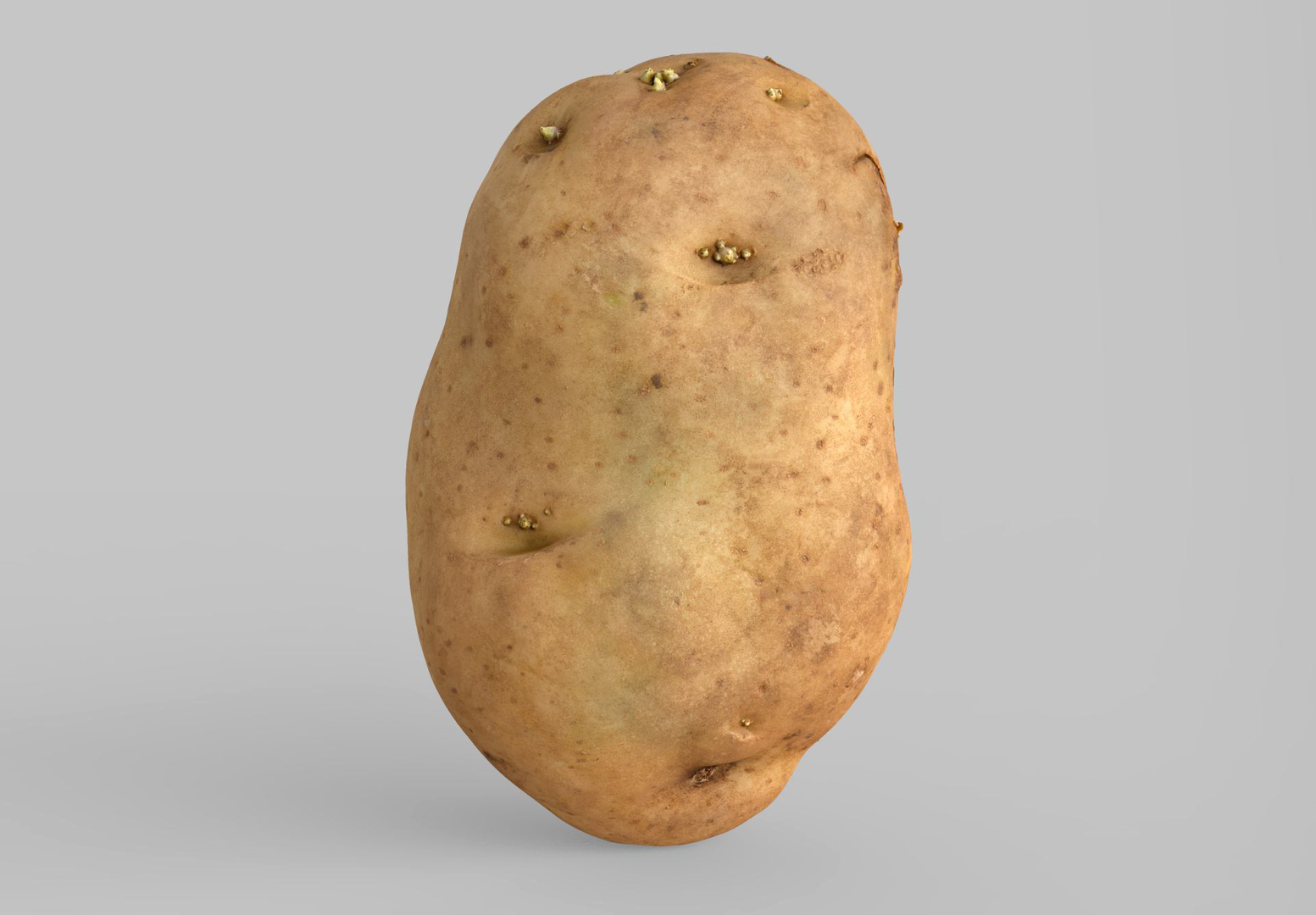 Potato 3D Model - TurboSquid 2033625