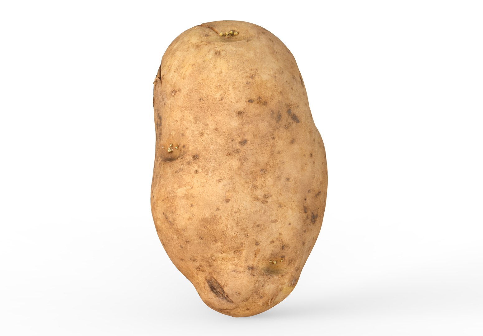 Potato 3D Model - TurboSquid 2033625