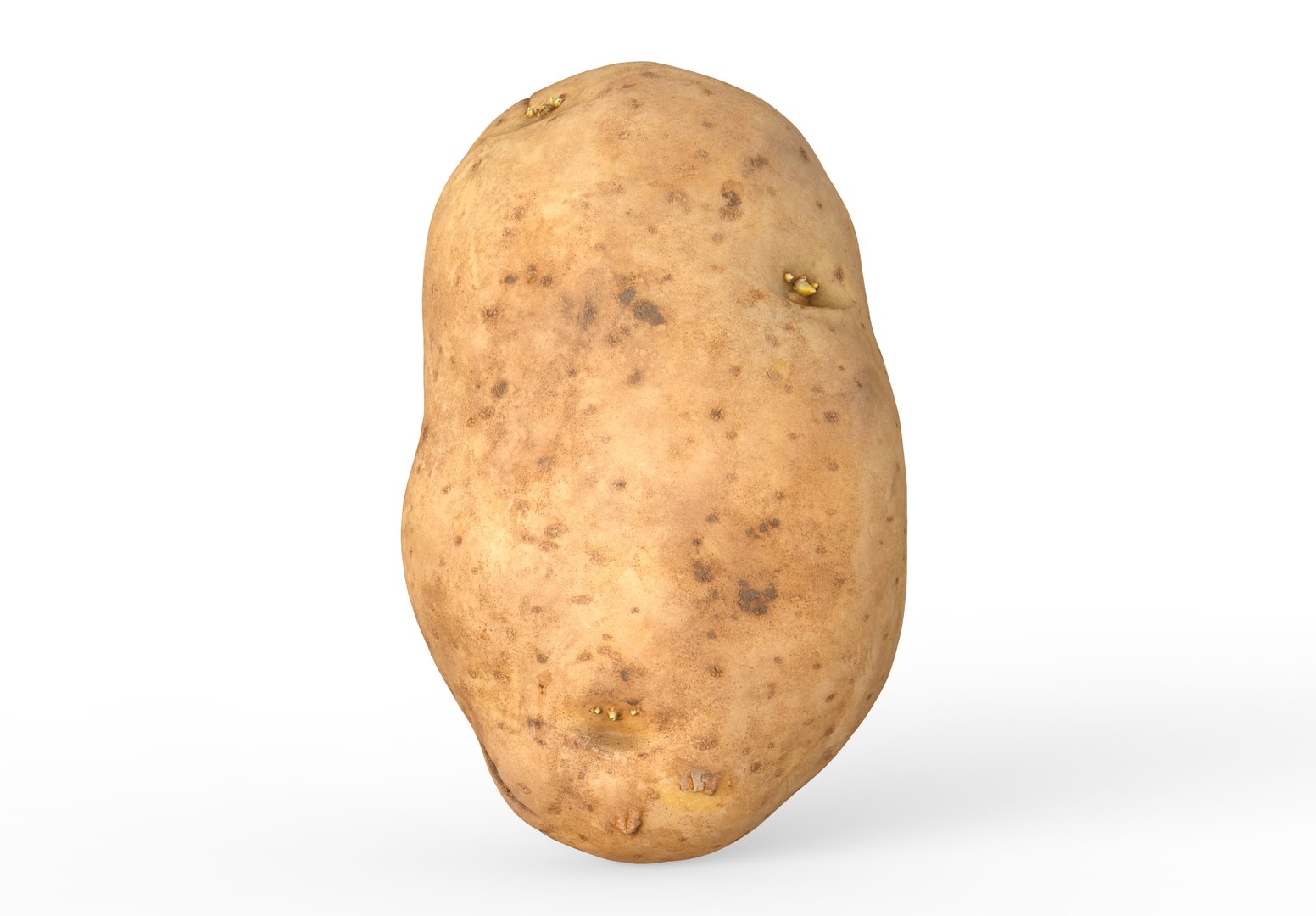 Potato 3D Model - TurboSquid 2033625