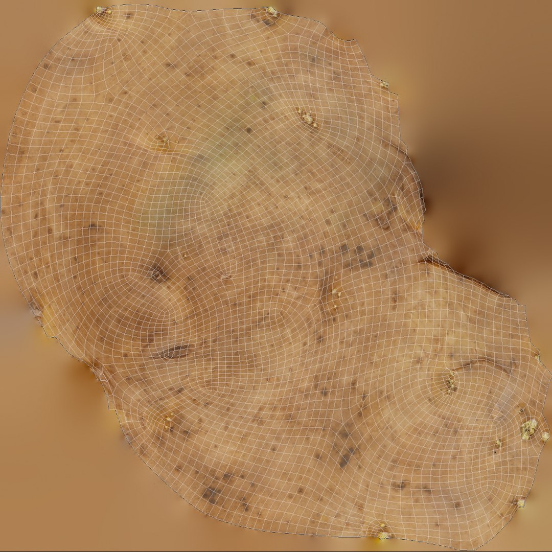 Potato 3D Model - TurboSquid 2033625