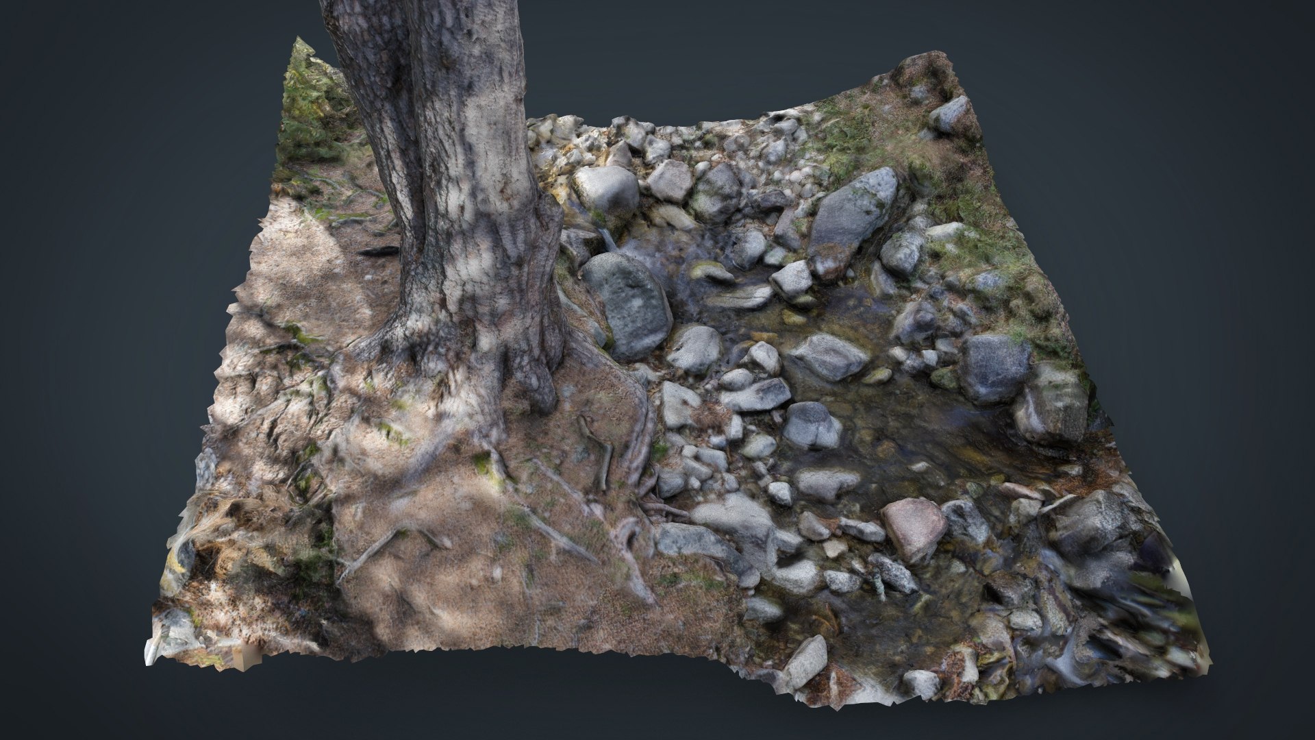 Tree River 3d Model