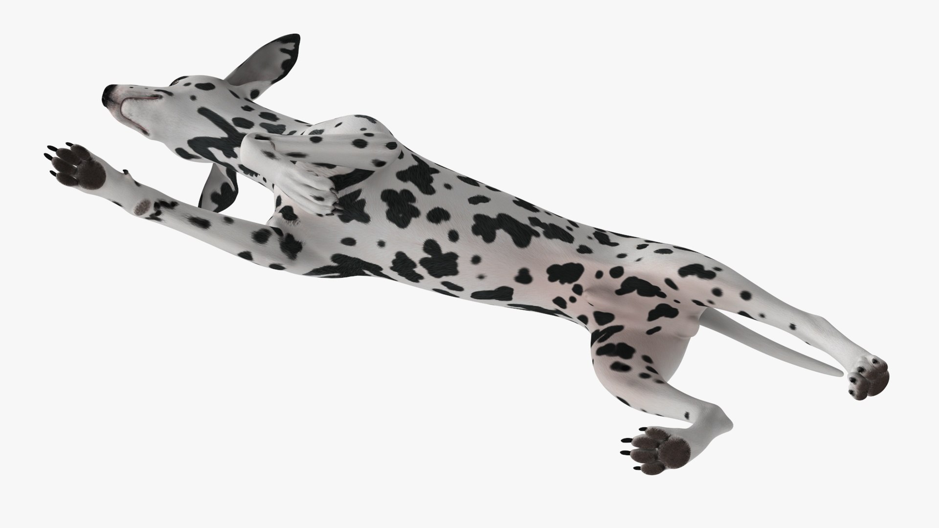 Running Spotted Dalmatian Dog 3D Model - TurboSquid 2230730
