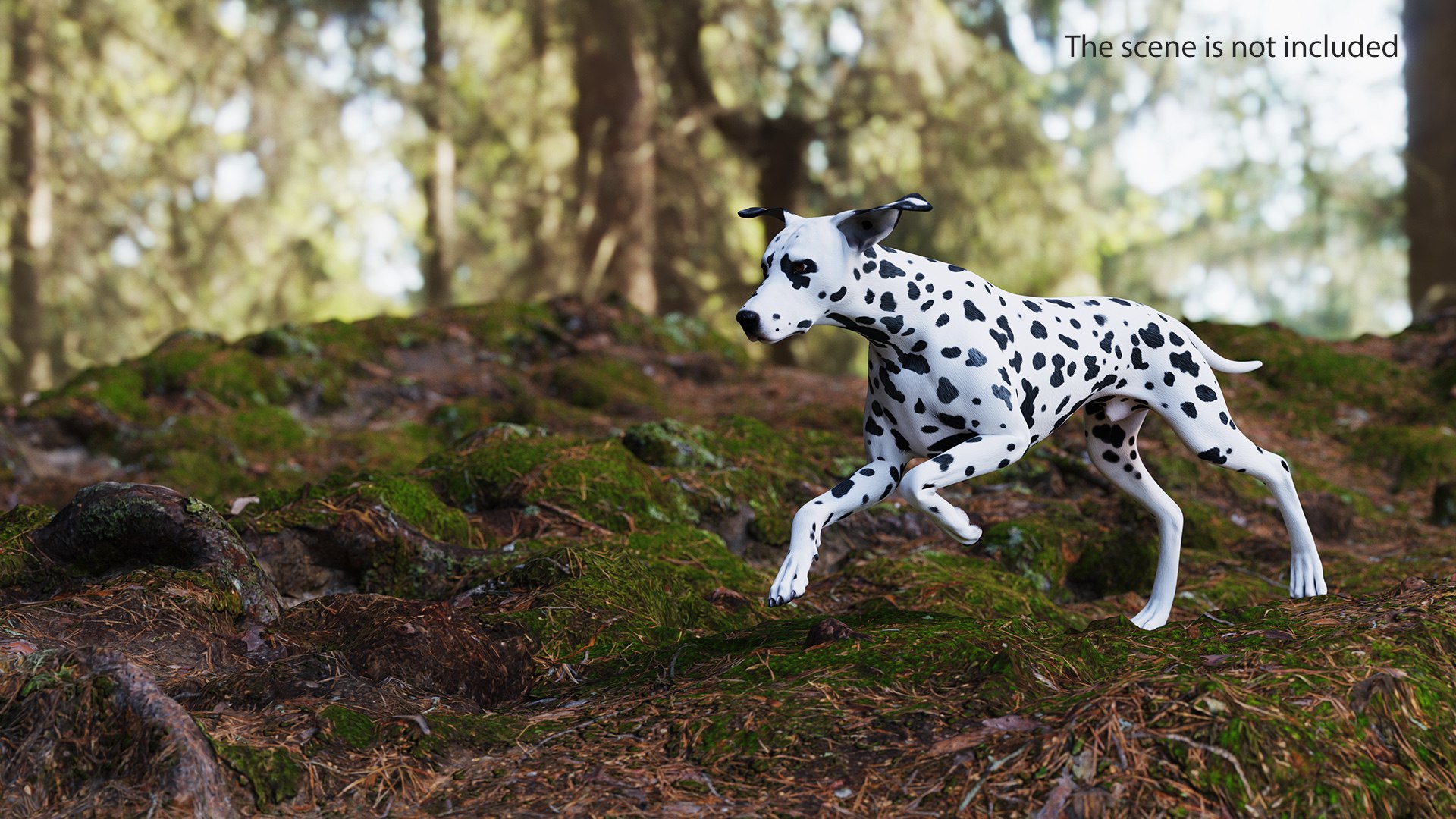 Running Spotted Dalmatian Dog 3D Model - TurboSquid 2230730