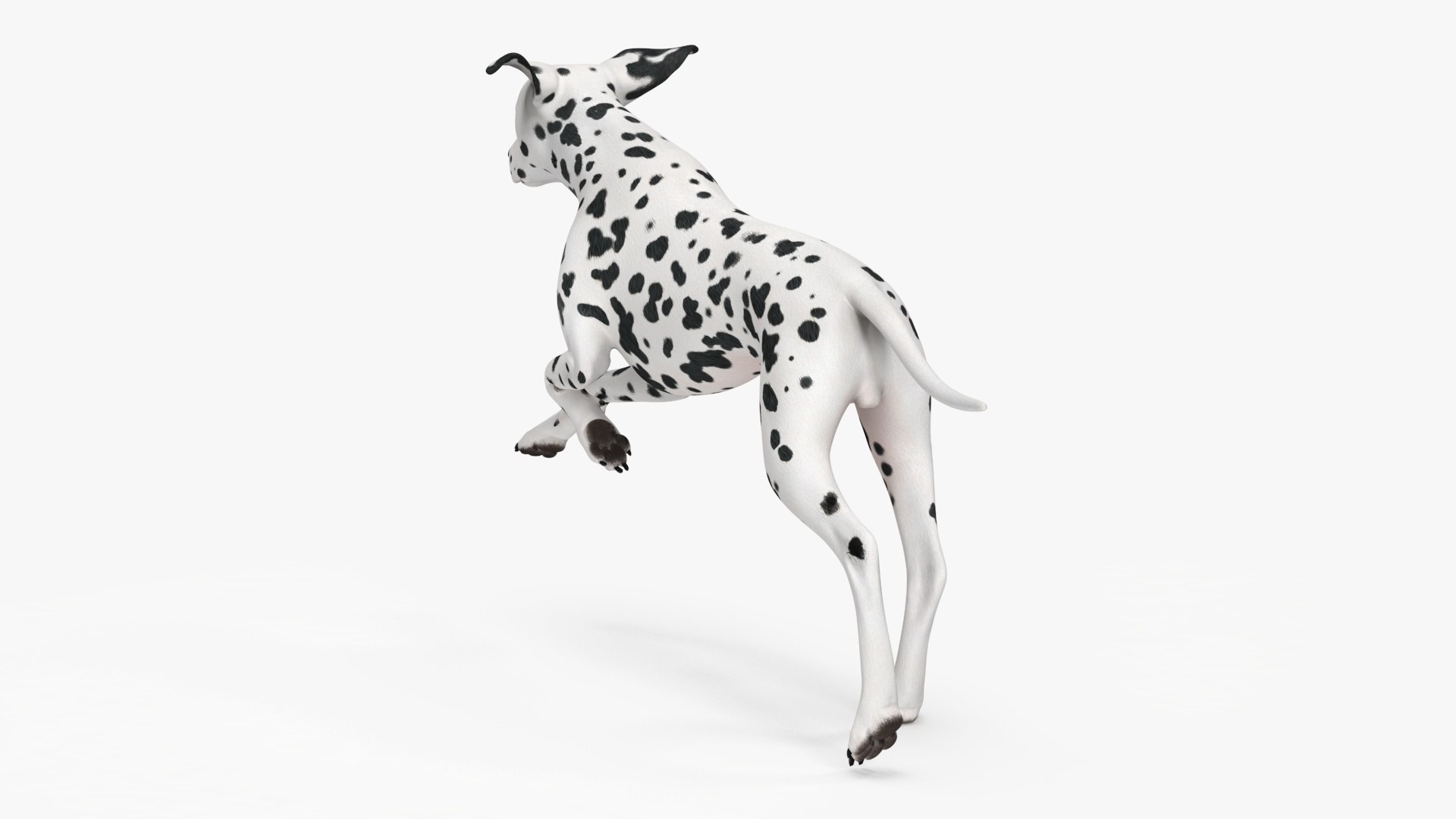 Running Spotted Dalmatian Dog 3D Model - TurboSquid 2230730