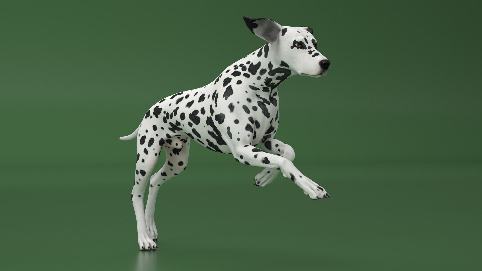 Running Spotted Dalmatian Dog 3D Model - TurboSquid 2230730