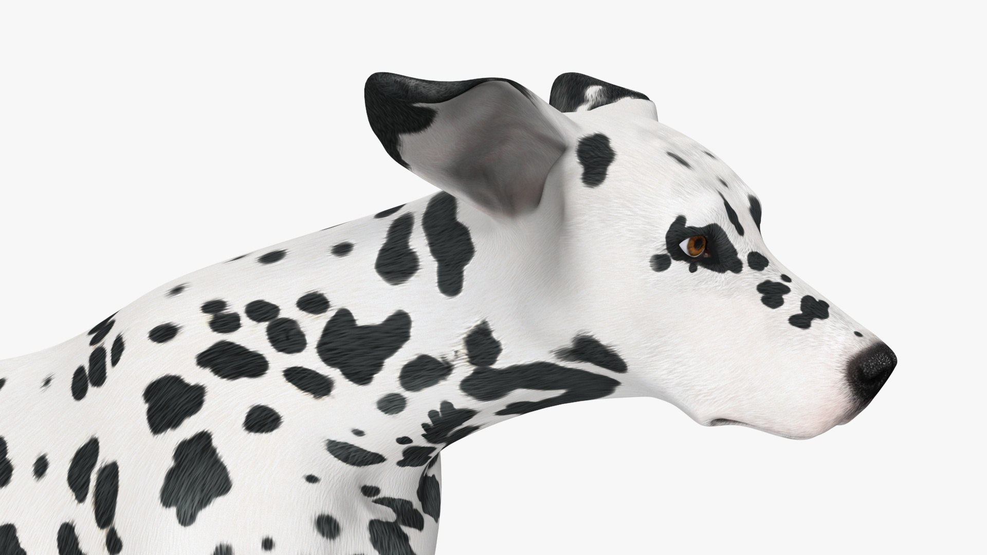 Running Spotted Dalmatian Dog 3D Model - TurboSquid 2230730