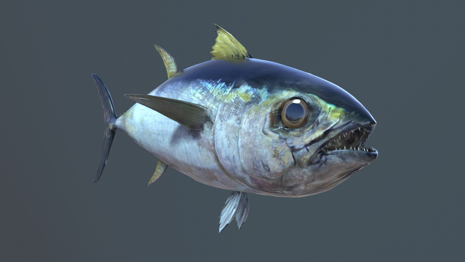 3D Tuna Fish Low-poly 3D Model Model - TurboSquid 1981883
