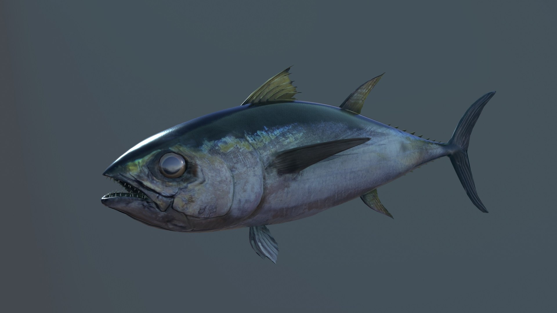3D Tuna Fish Low-poly 3D Model Model - TurboSquid 1981883