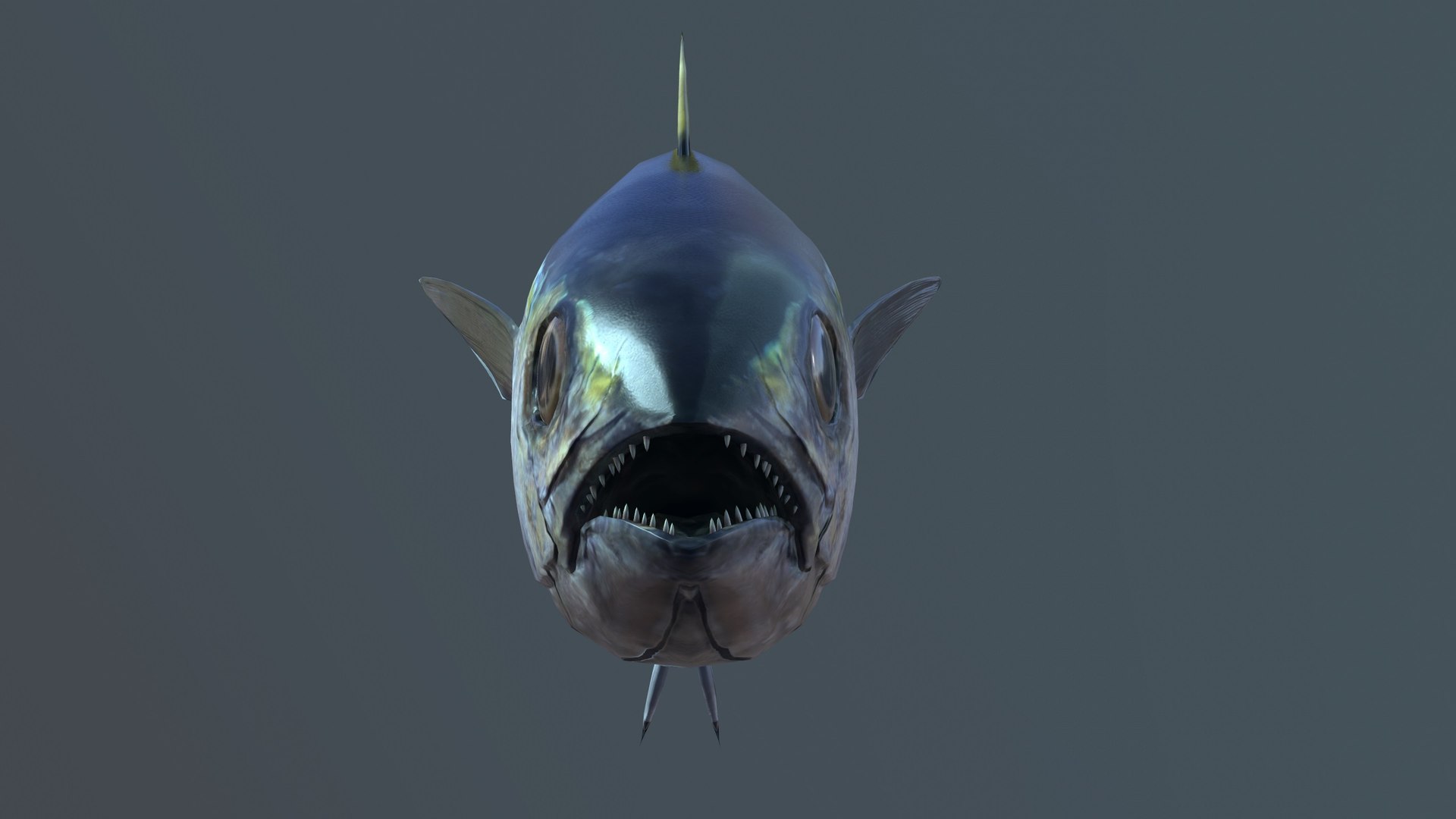 3D Tuna Fish Low-poly 3D Model Model - TurboSquid 1981883