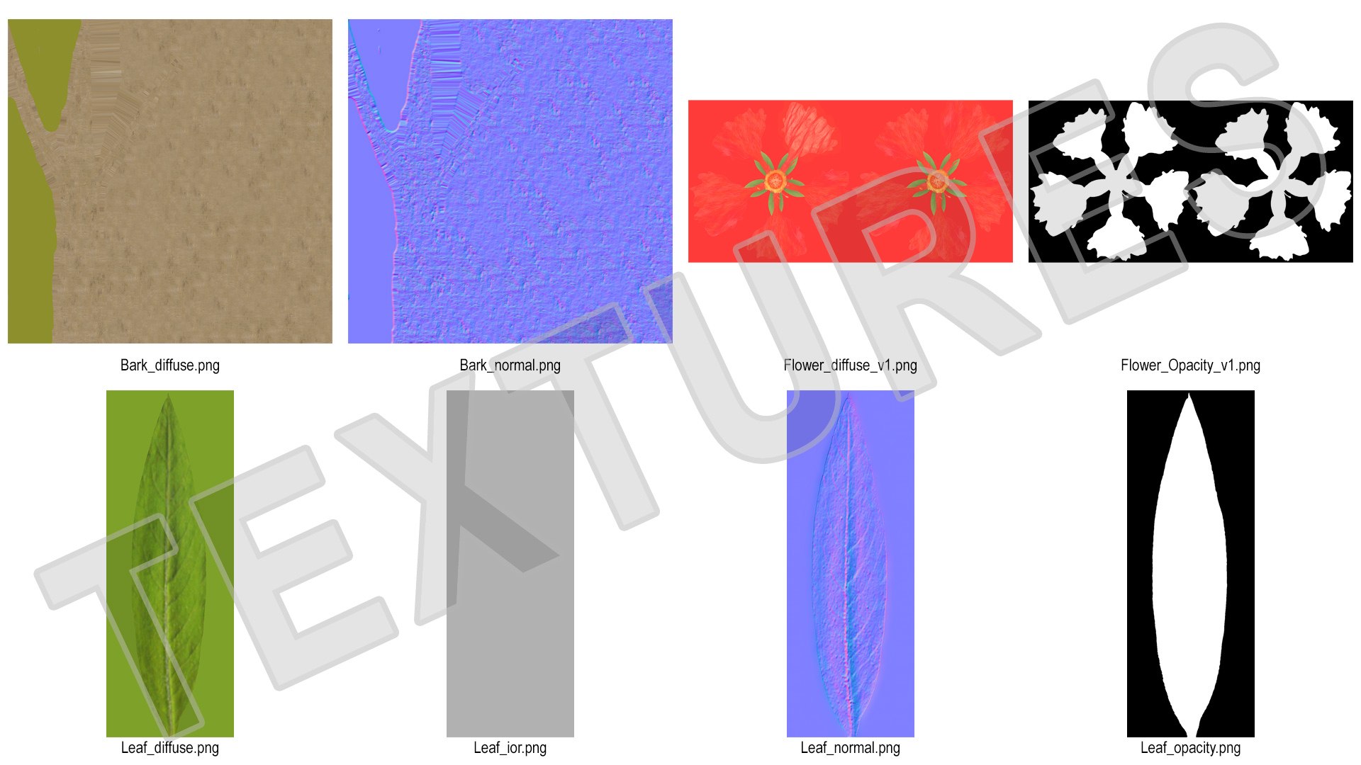 Poinciana flowering tree plant 3D model - TurboSquid 1505542