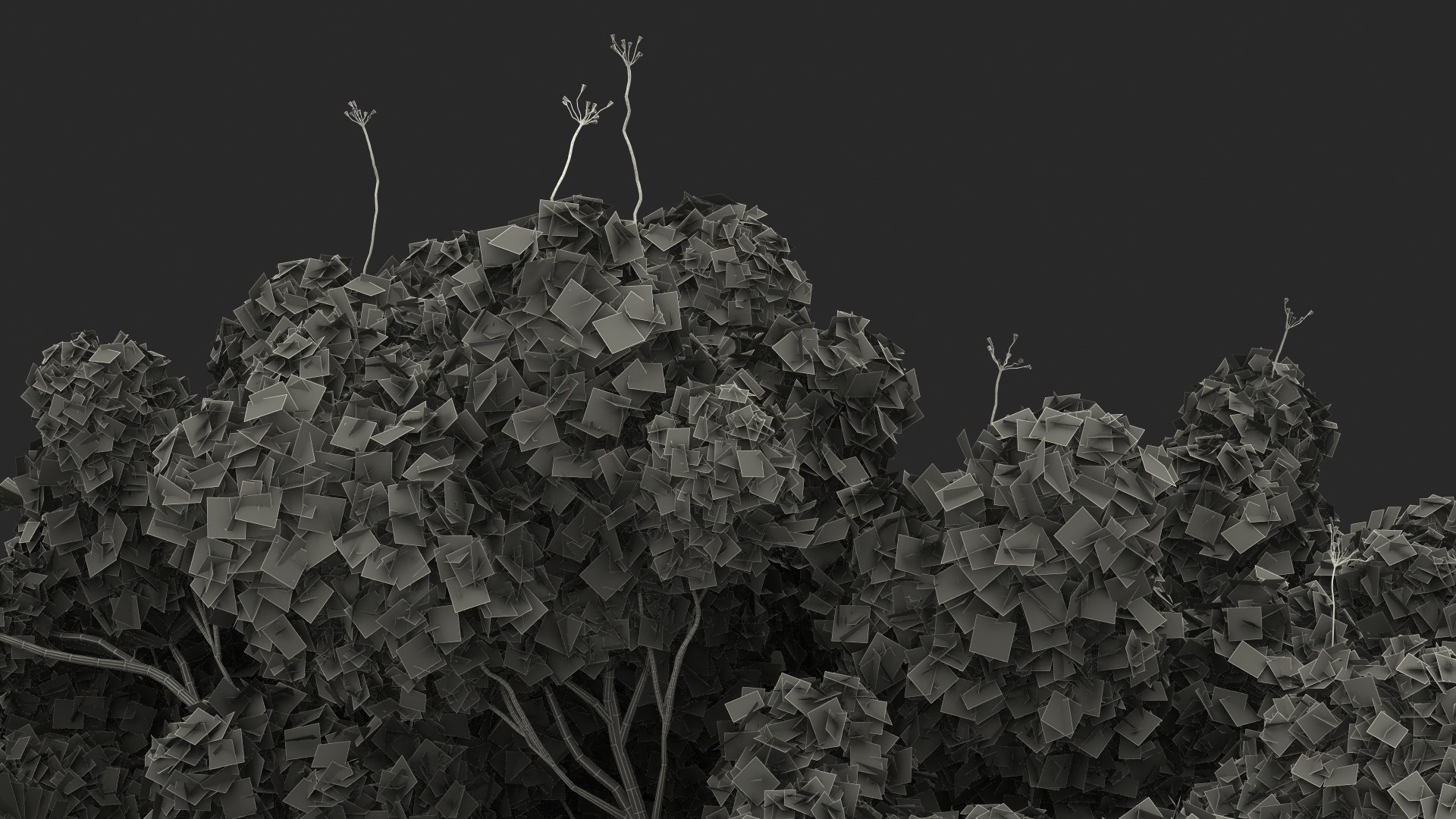 Poinciana flowering tree plant 3D model - TurboSquid 1505542