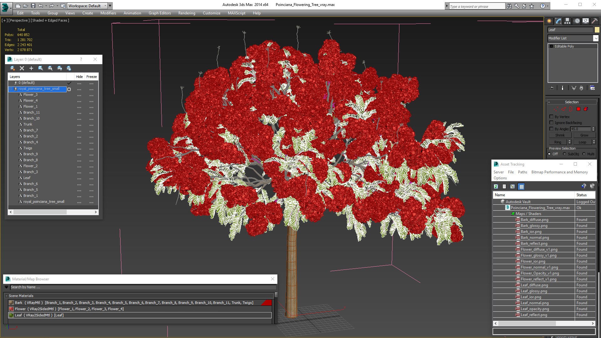 Poinciana flowering tree plant 3D model - TurboSquid 1505542
