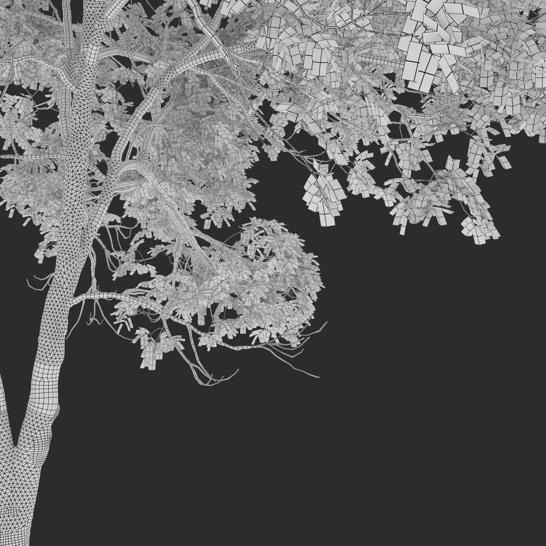 3D Hickory Tree 05 - TurboSquid 1980734
