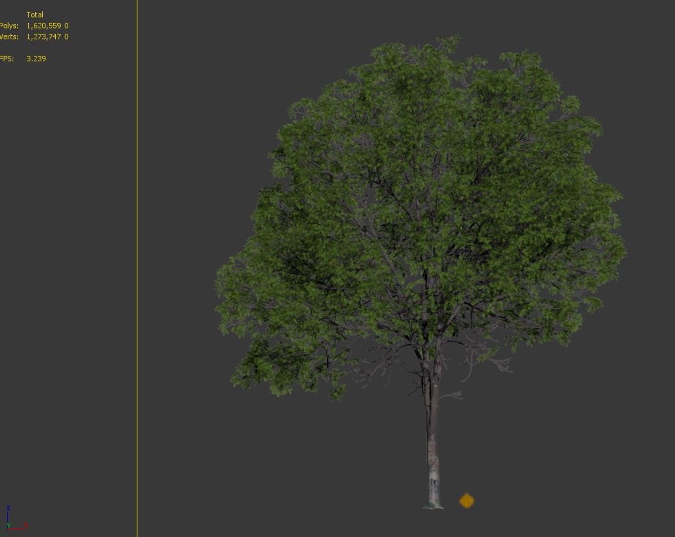 3D Hickory Tree 05 - TurboSquid 1980734