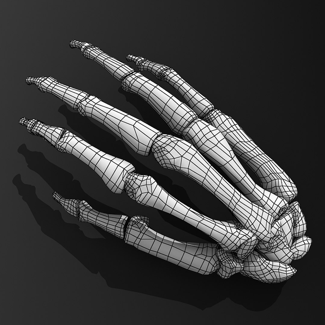 Obj Anatomical Hand Skeleton