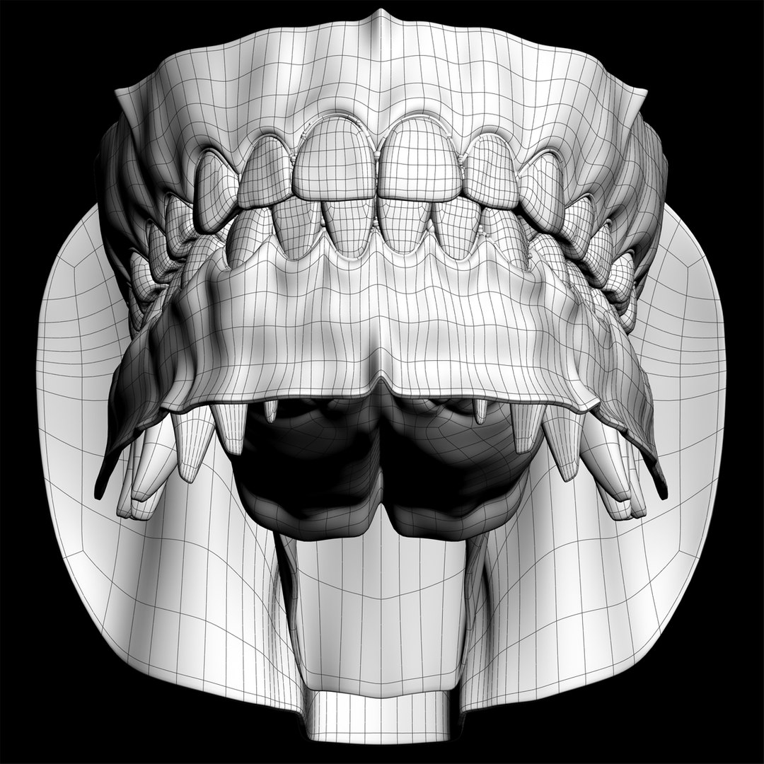 3d Model Orthodontics Mouth Teeth