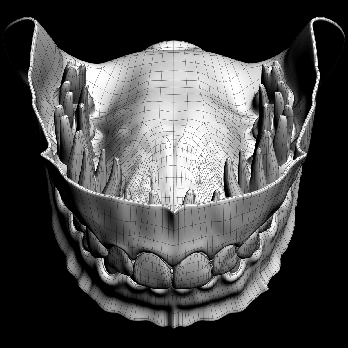 3d model orthodontics mouth teeth