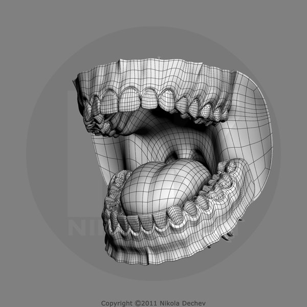 3d model orthodontics mouth teeth