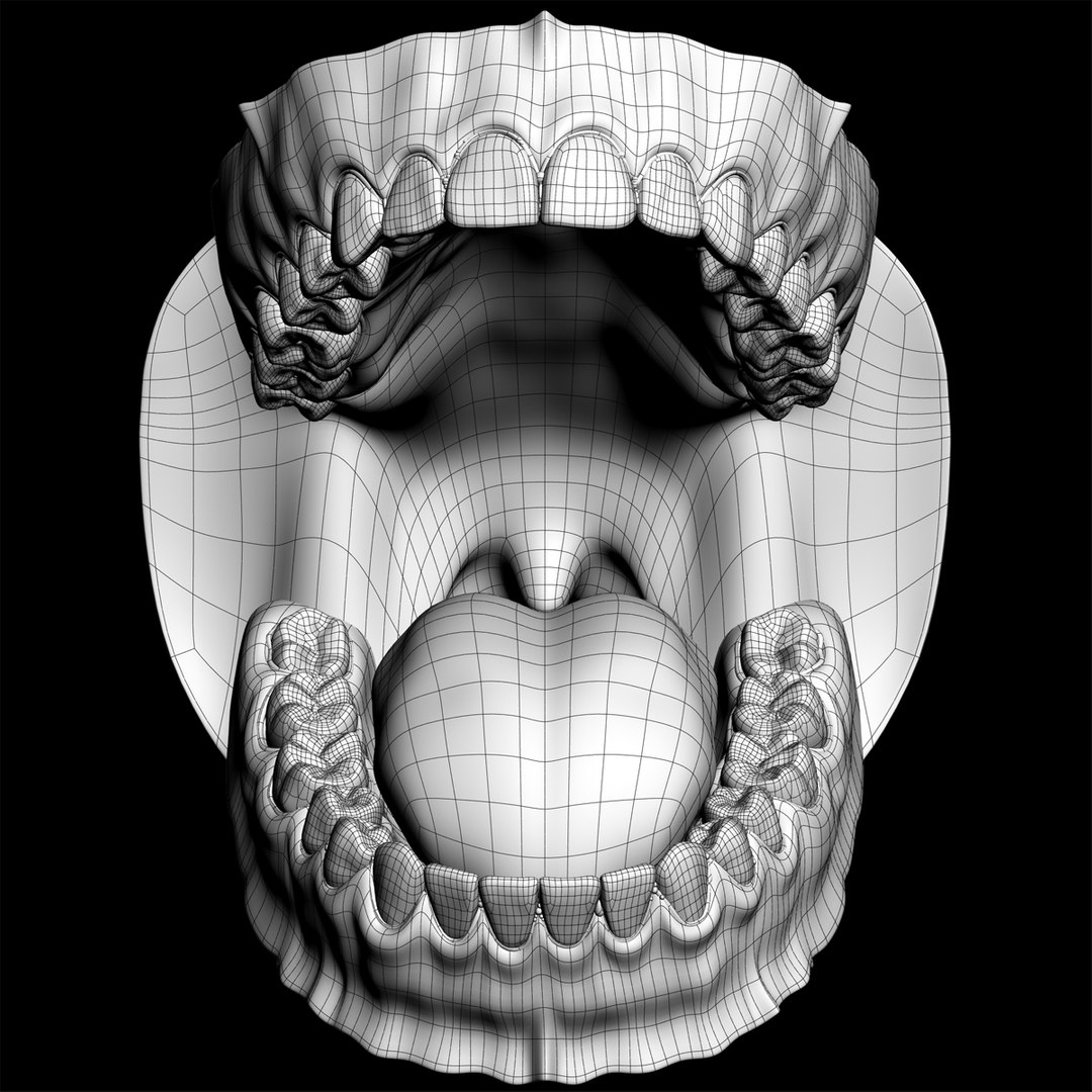 3d Model Orthodontics Mouth Teeth