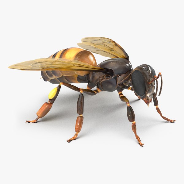 bee bumblebee rigged animate 3d max