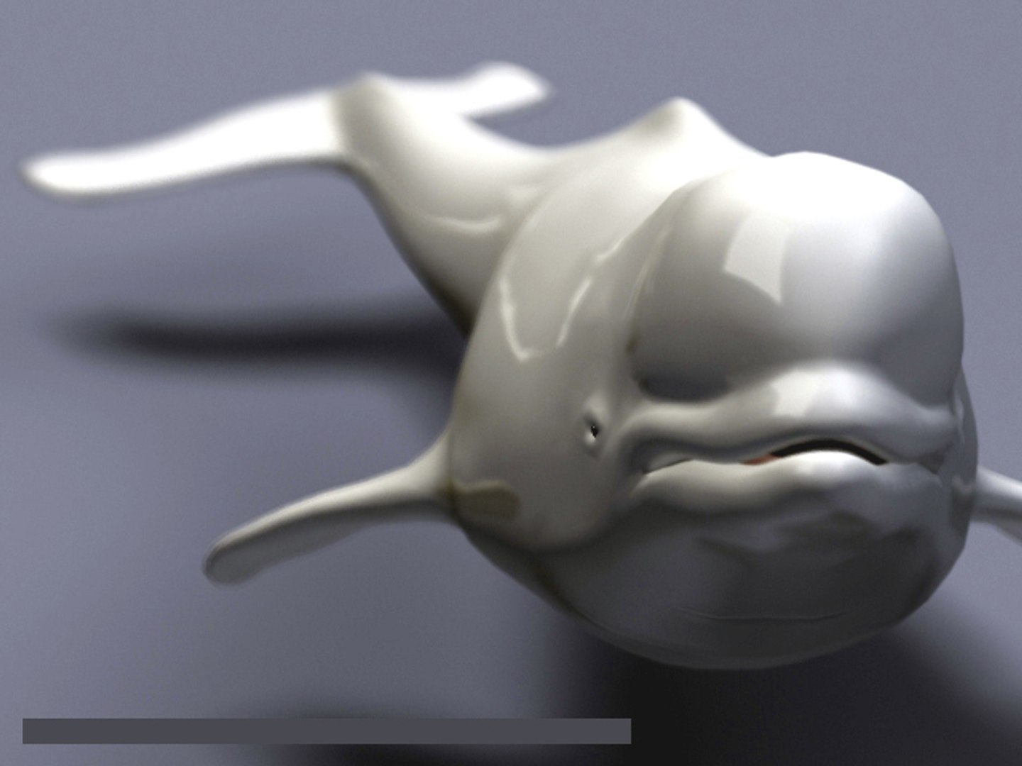 Beluga 3d Model