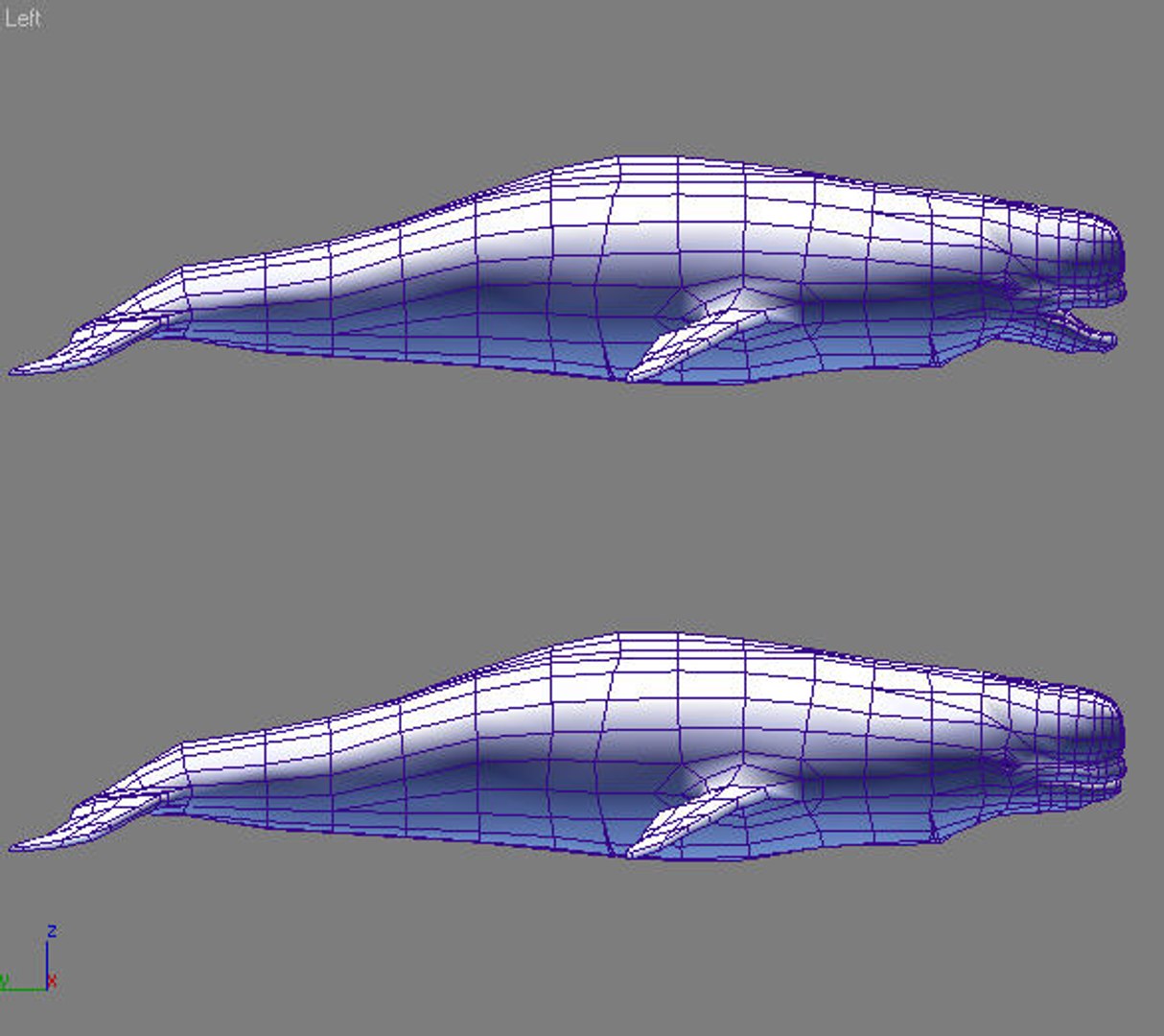 Beluga 3d Model