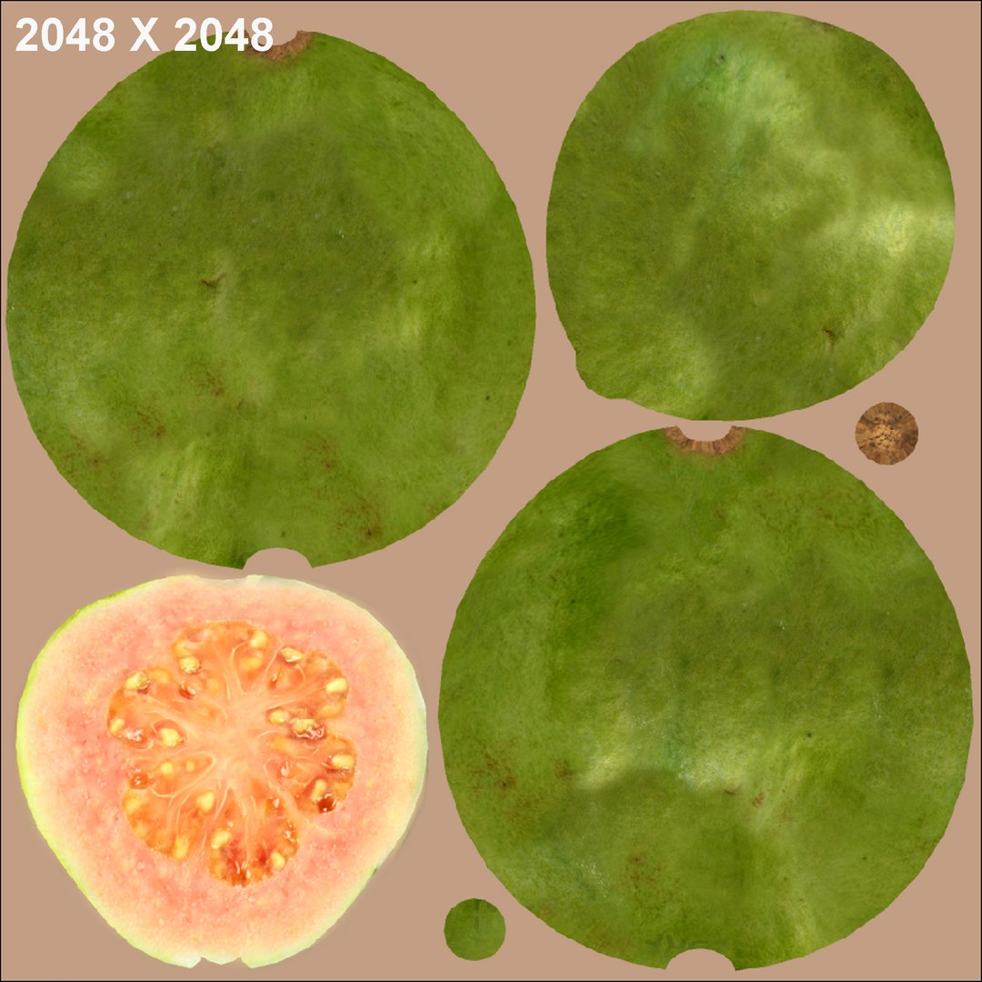 3d Guavas Tropical Model