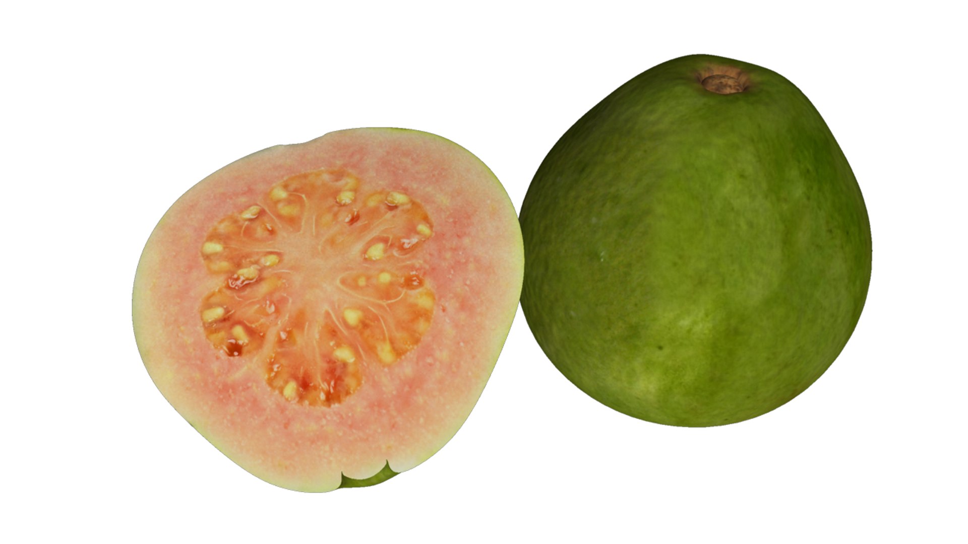 3d Guavas Tropical Model